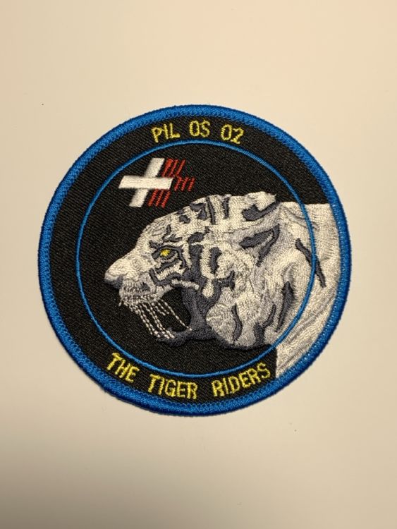 F-5 Tiger Pilotenschule Pil OS 2002 Badge (Gebraucht) in Susten für CHF ...