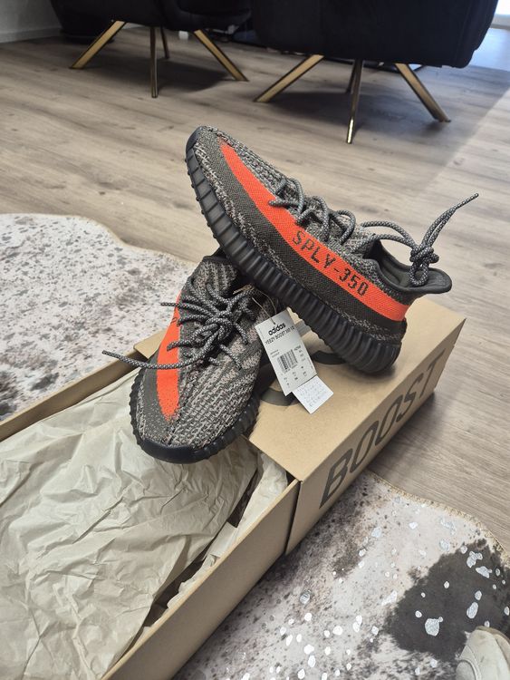 Yeezy 350 V2 Carbon Beluga (Neu und originalverpackt) in Zürich für CHF 150 – mit Lieferung auf ...