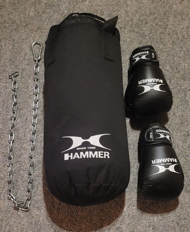 Boxsack mit Handschuhen und Befestigungskette | Kaufen auf Ricardo
