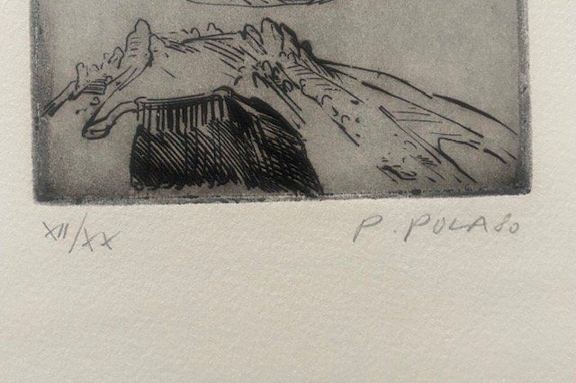 POLA PAOLO - handsigniert | Kaufen auf Ricardo