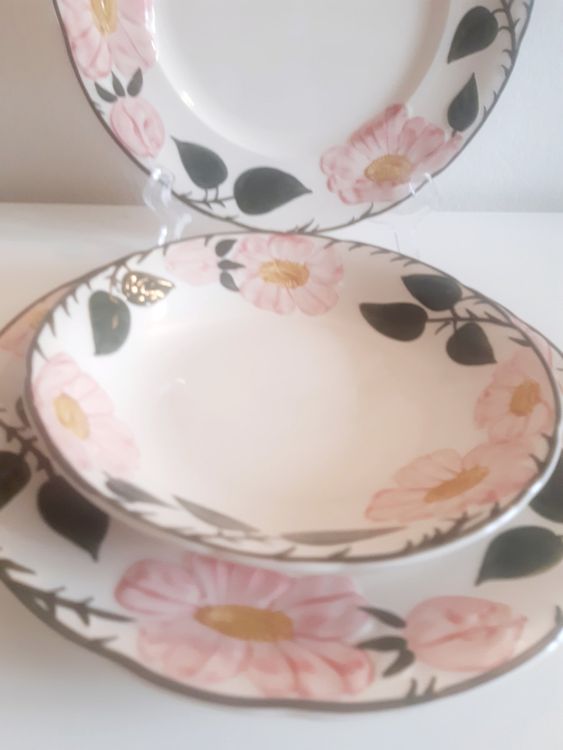 8 "Wild-Rose" Villeroy & Boch 🌺 Essteller Wildrose (Gebraucht) in Basel für CHF 79 – mit ...