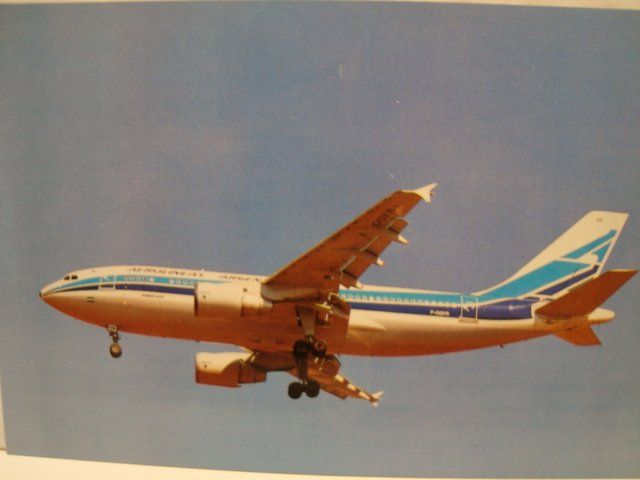 Aerolineas Argentinas Airbus A310-324 F-OGYR (Neu und originalverpackt ...