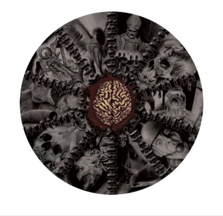 KrawallBrüder Box - streng limitiert 478/1000 - Top Zustand! (Neu und ...