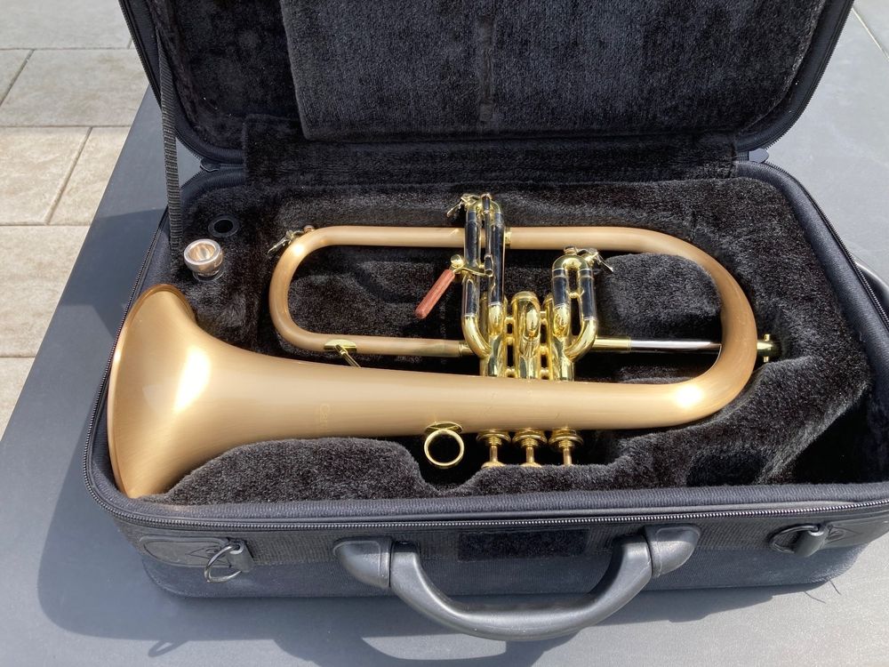 Flügelhorn Carol Brass | Kaufen auf Ricardo