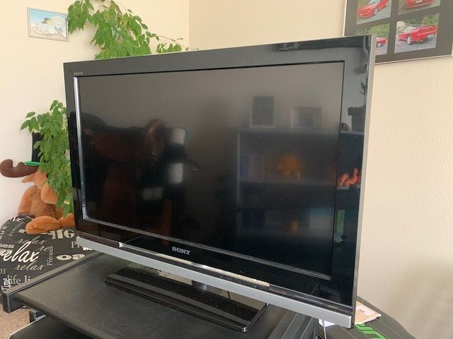 Fernseher Sony Bravia | Kaufen auf Ricardo