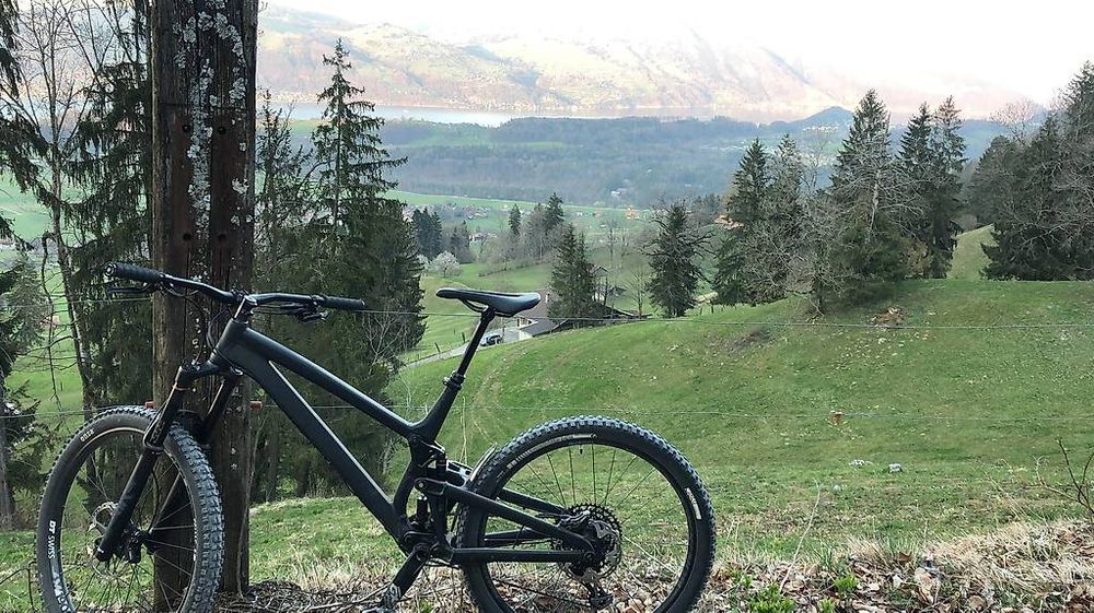 Propain Rage 2019 Bike | Kaufen auf Ricardo