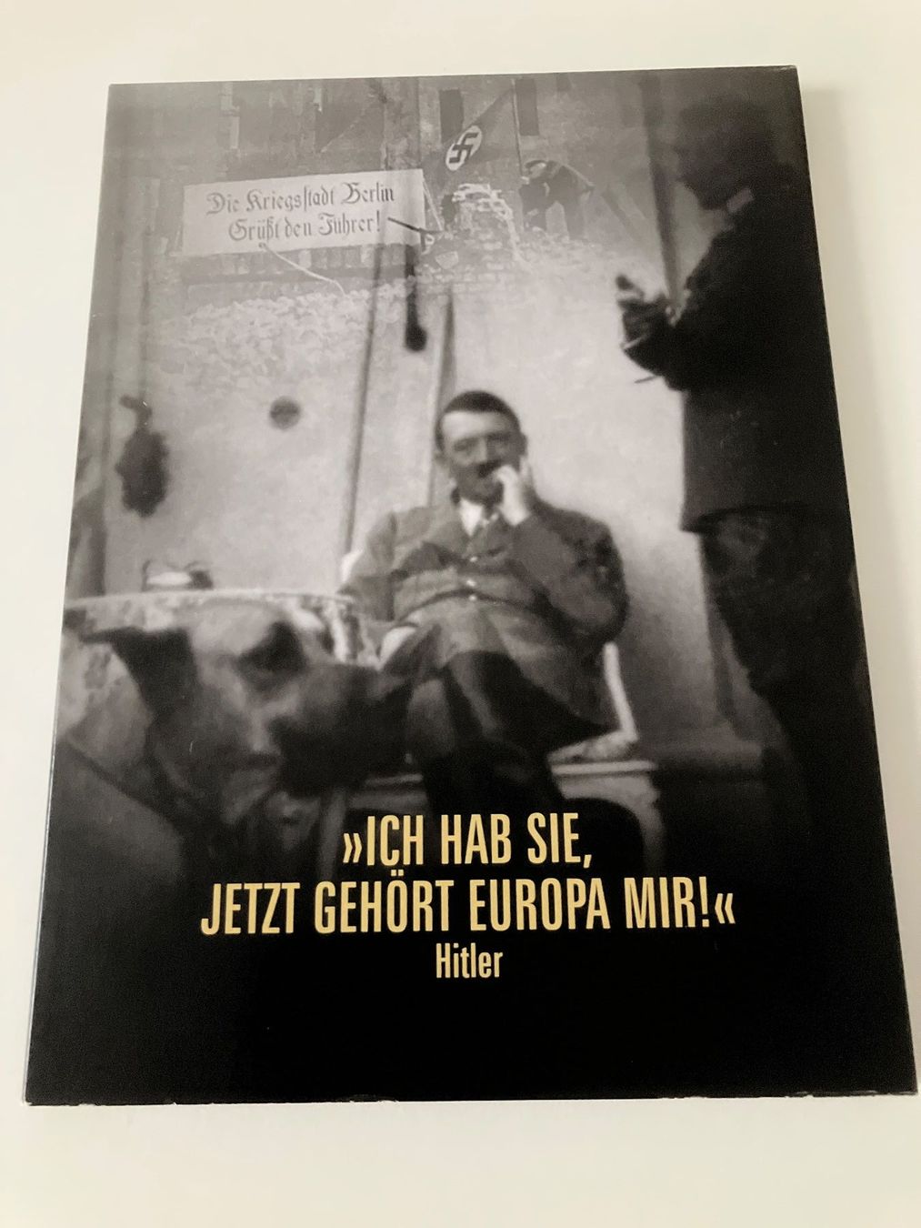 Hitler & Stalin - Porträt einer Feindschaft (DVD) (Gebraucht) in Arbon ...