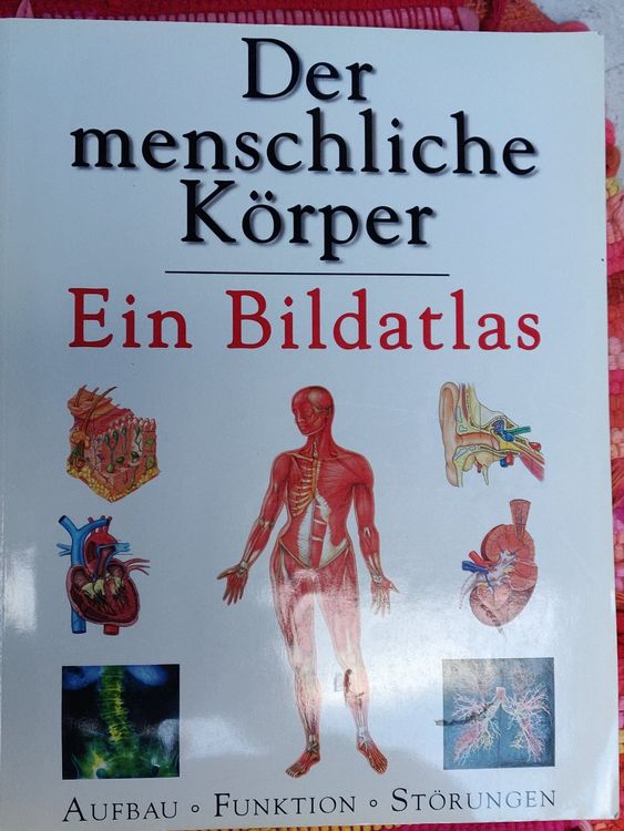 Der menschliche Körper Ein Bildatlas Dr. Tony Smith Aufbau | Kaufen auf Ricardo