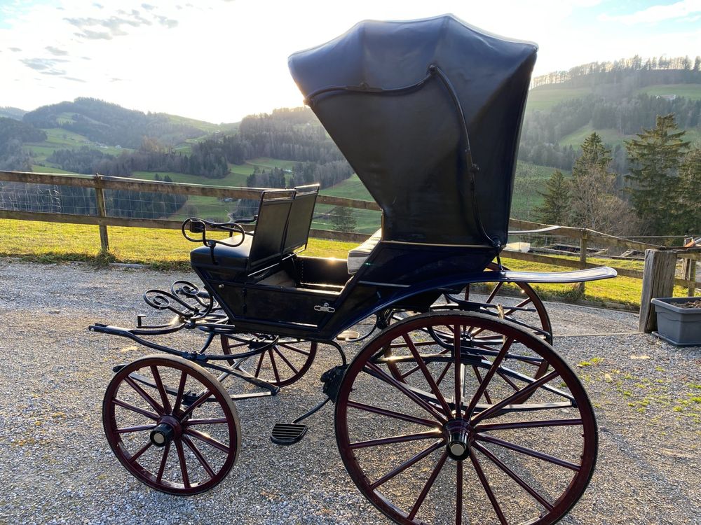 Kutsche Pferde (Gebraucht) in Mogelsberg für CHF 1020 – nur Abholung ...
