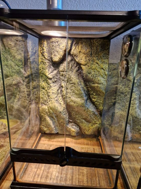 ExoTerra Terrarium 30x30x45 inkl. Wärmelampe | Kaufen auf Ricardo