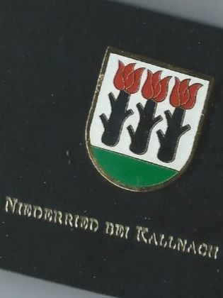 Niederried bei Kallnach Gemeindewappen PIN (Gebraucht) in Zürich für CHF 0.8 – mit Lieferung auf ...