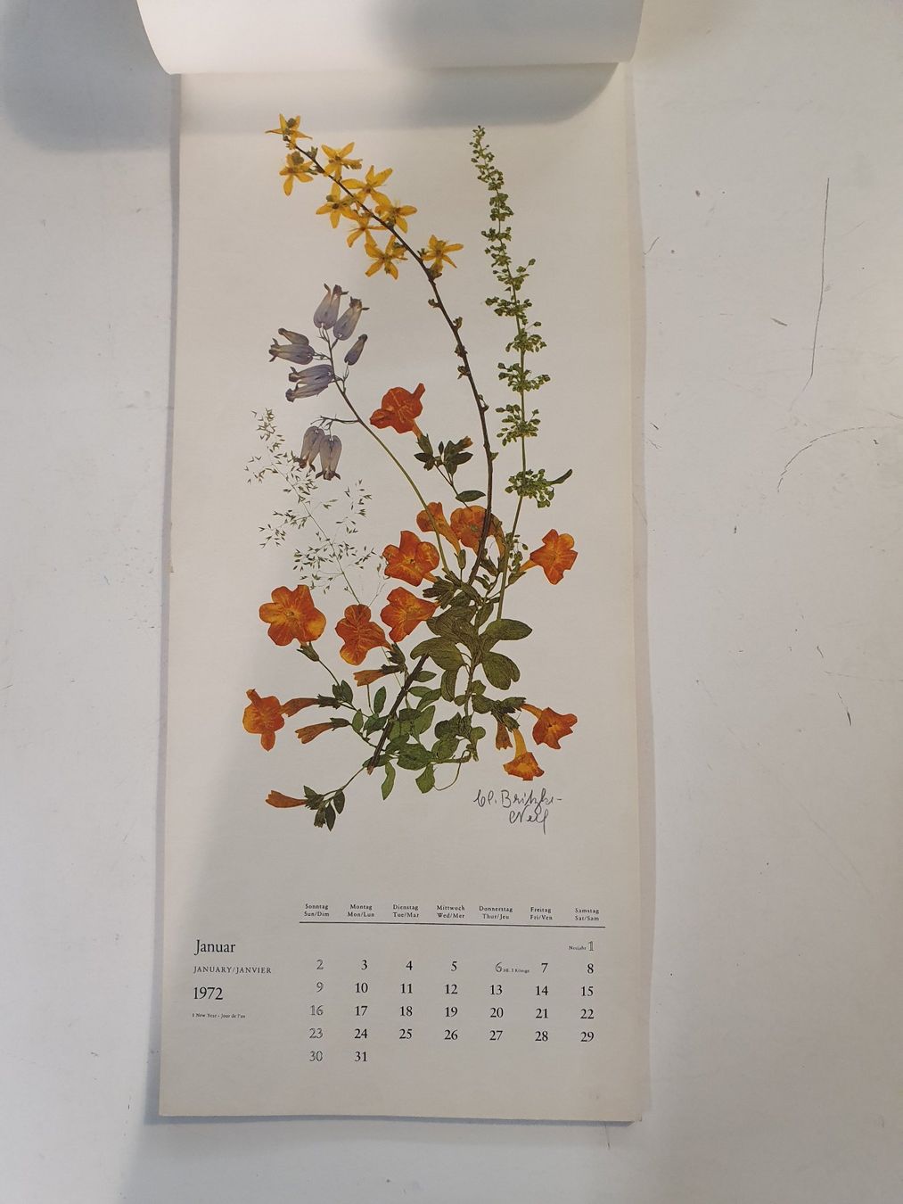 Korsch Kalender Blumen und Gräser Claire Britzke-Neef 1972 (Gebraucht ...