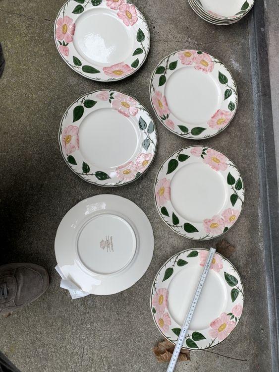 Villeroy & Boch Wild-Rose 6er Set Teller | Kaufen auf Ricardo
