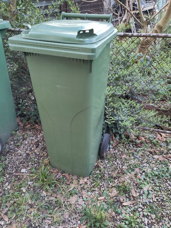 Container 140 Liter für Grüngut etc. (Gebraucht) in Biel/Bienne für CHF ...