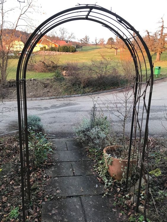 Rankbogen Metall RAYHER Rankbogen Aus Draht | Weiß | 15,5 Cm | Für Deko ...