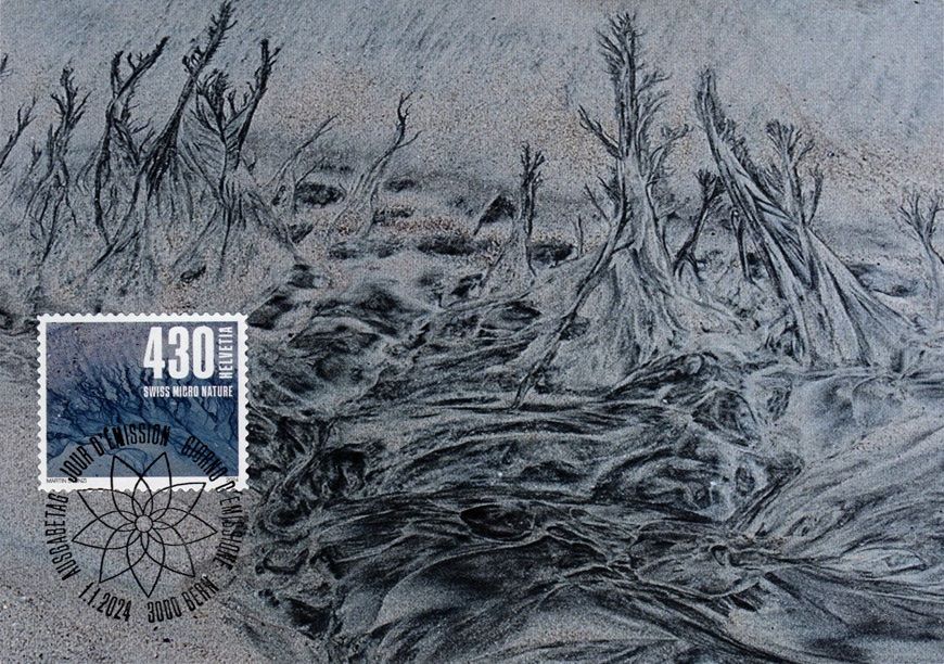 Maximumkarte Naturmuster - Sand | Kaufen auf Ricardo