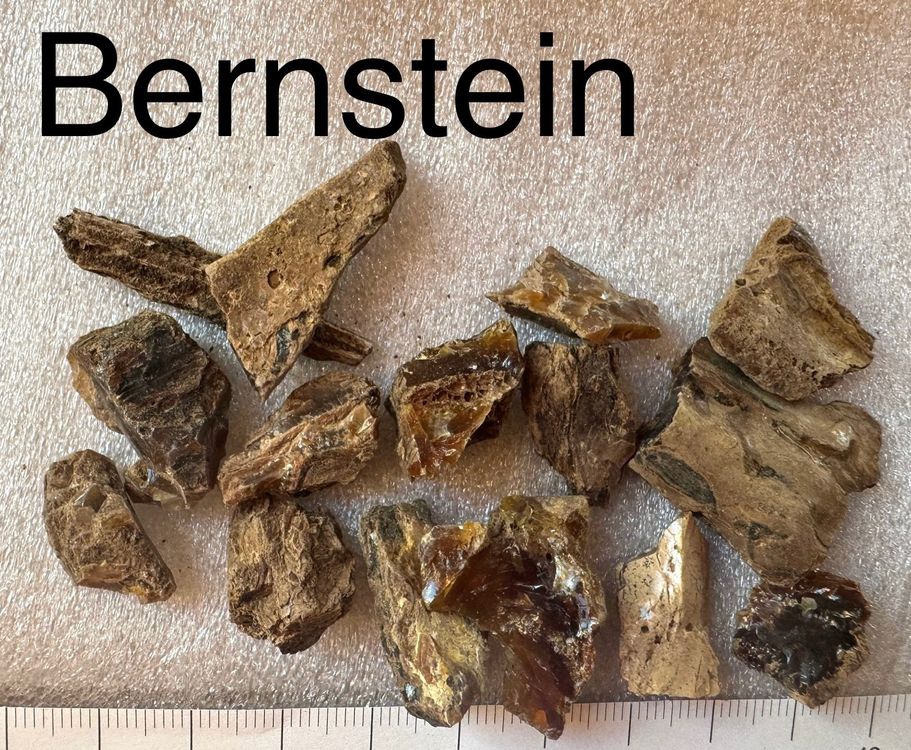 Bernstein Amber sehr kleine Brocken woodamber Sumatra (Neu und ...