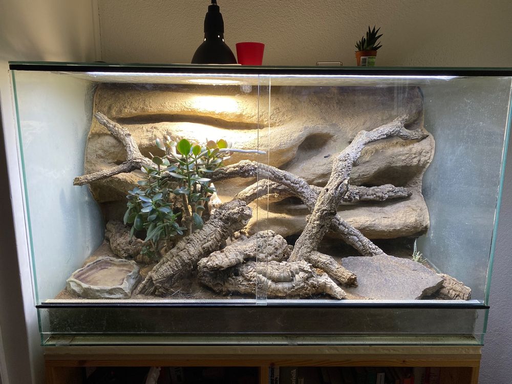 Terrarium inkl. Holzgestell abzugeben | Kaufen auf Ricardo