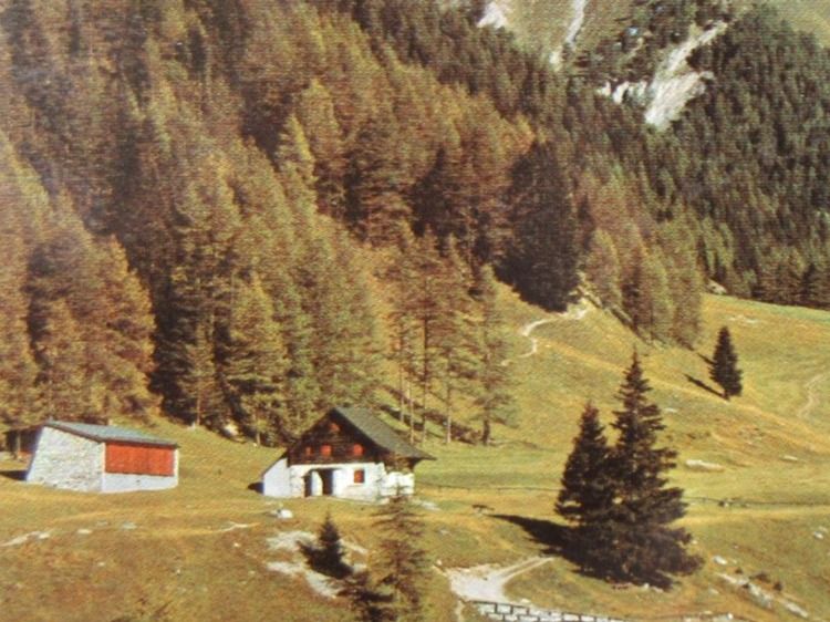 AK GR VARUSCH PARKHÜTTE SCHW.NATIONALPARK VON ZUOS-S-CHANF (Gebraucht ...