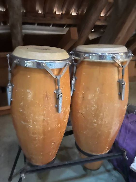 2 Konga Musikinstrument (Gebraucht) in Rüti b. Büren für CHF 72 – nur ...