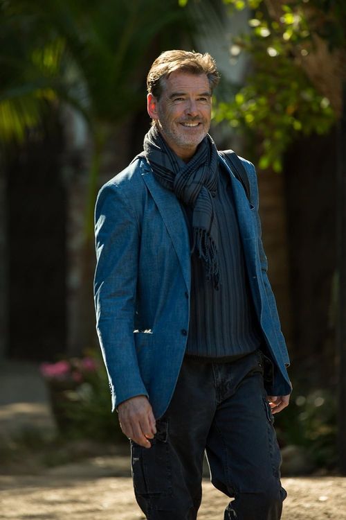 Professor Love (2014) Pierce Brosnan/Salma Hayek/J. Alba/BD (Gebraucht ...