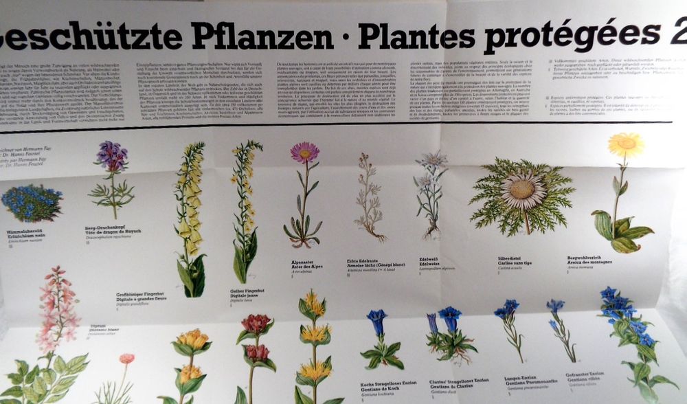 Geschützte Pflanzen 1 + 2 / 2 Grosse Faltbilder ab Fr. 3.- (Gebraucht) in Bellach für CHF 3 ...