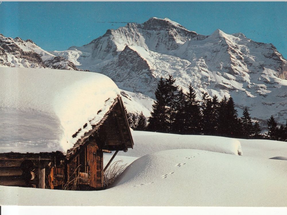 Jungfrau 1973 | Kaufen auf Ricardo