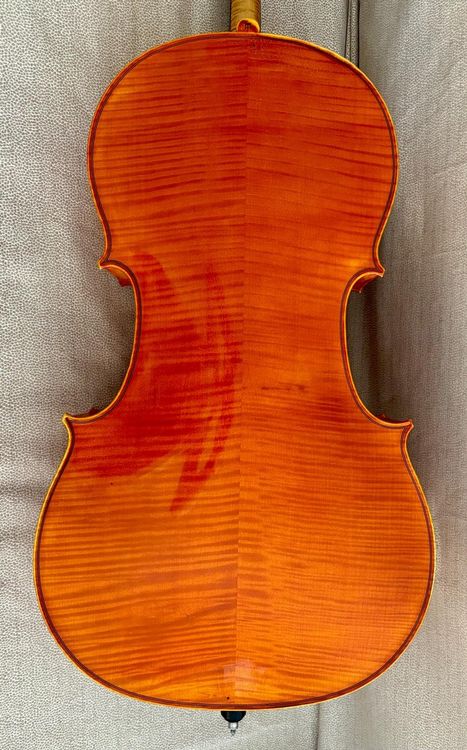 Italian Cello for Soloist (Gebraucht) in Neyruz FR für CHF 48000 – nur ...