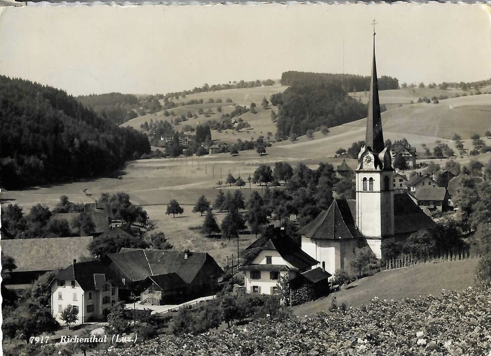 Reiden LU Richenthal Flugaufnahme Nr.7917 , ca. 1960 (Gebraucht) in ...