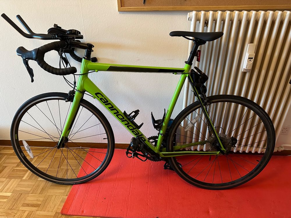 Cannondale CAAD Optimo Tiagra Hr. Rennrad - Grün / 60cm | Kaufen auf Ricardo