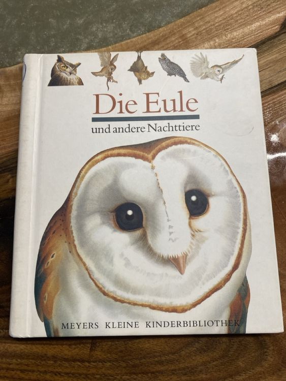 Die Eule | Kaufen auf Ricardo