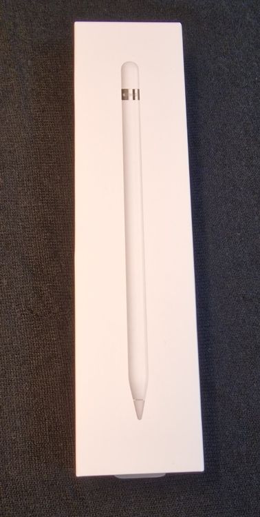 APPLE PENCIL 1.GEN | Kaufen auf Ricardo