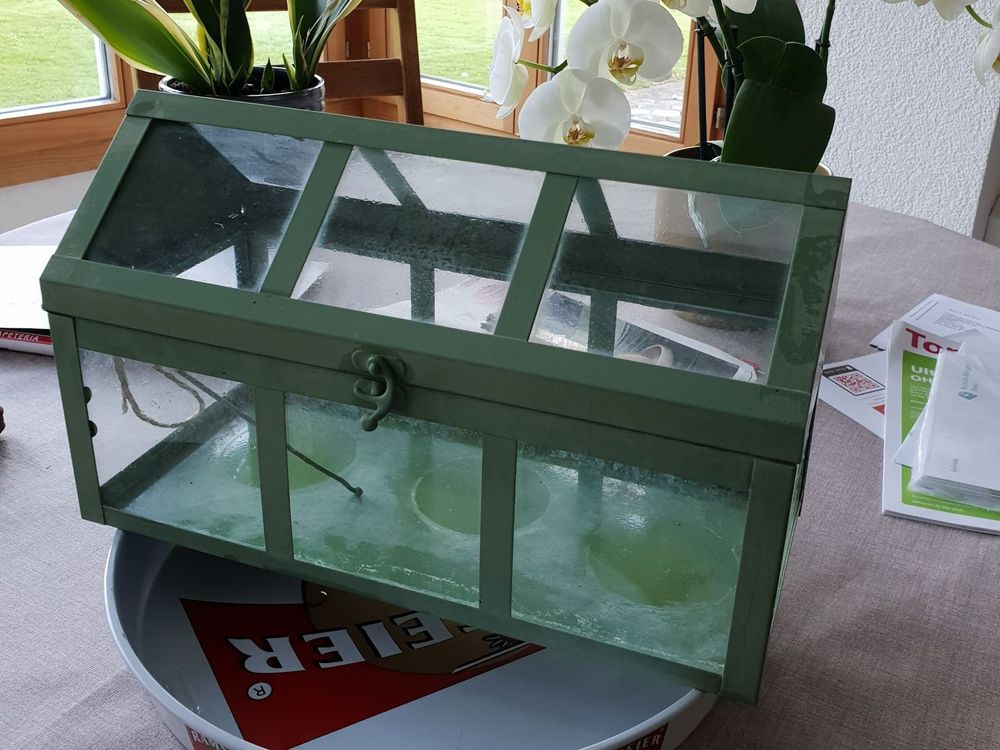 Mini Treibhaus | Kaufen auf Ricardo