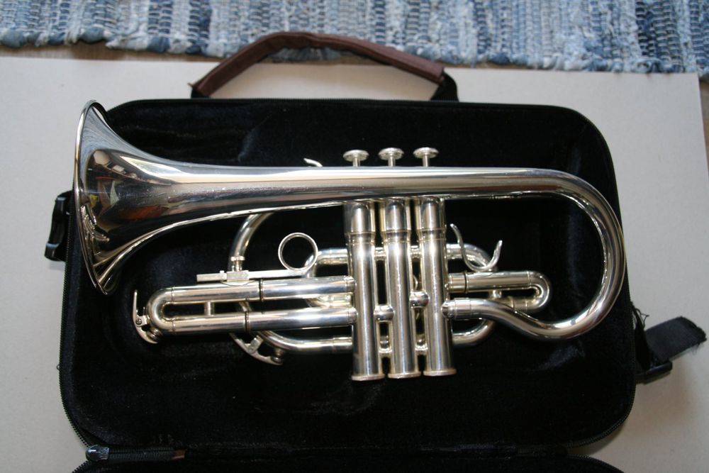 CORNET SIb YORK PRESCIENCE TOP !! | Kaufen auf Ricardo