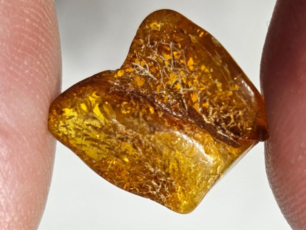 Bernstein mit Inkluse Naturbernstein Anhänger möglich Insekt (Neu ...