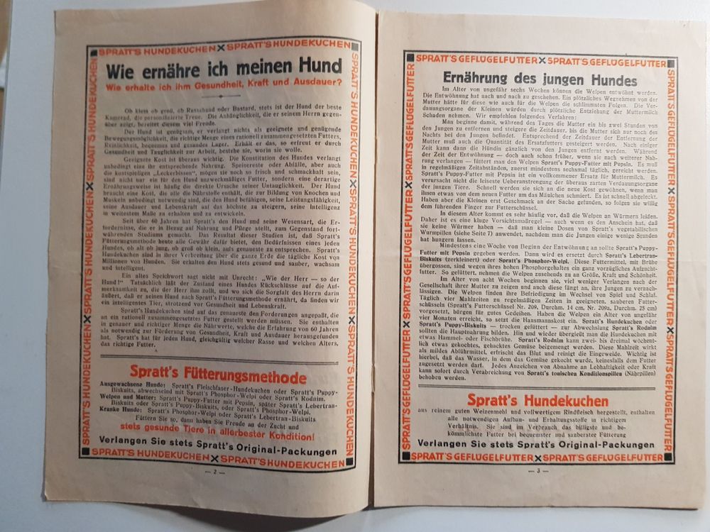 Antike Zeitung Broschüre Der Hund wie er sein sollte - 1936 (Gebraucht) in Walterswil BE für CHF ...
