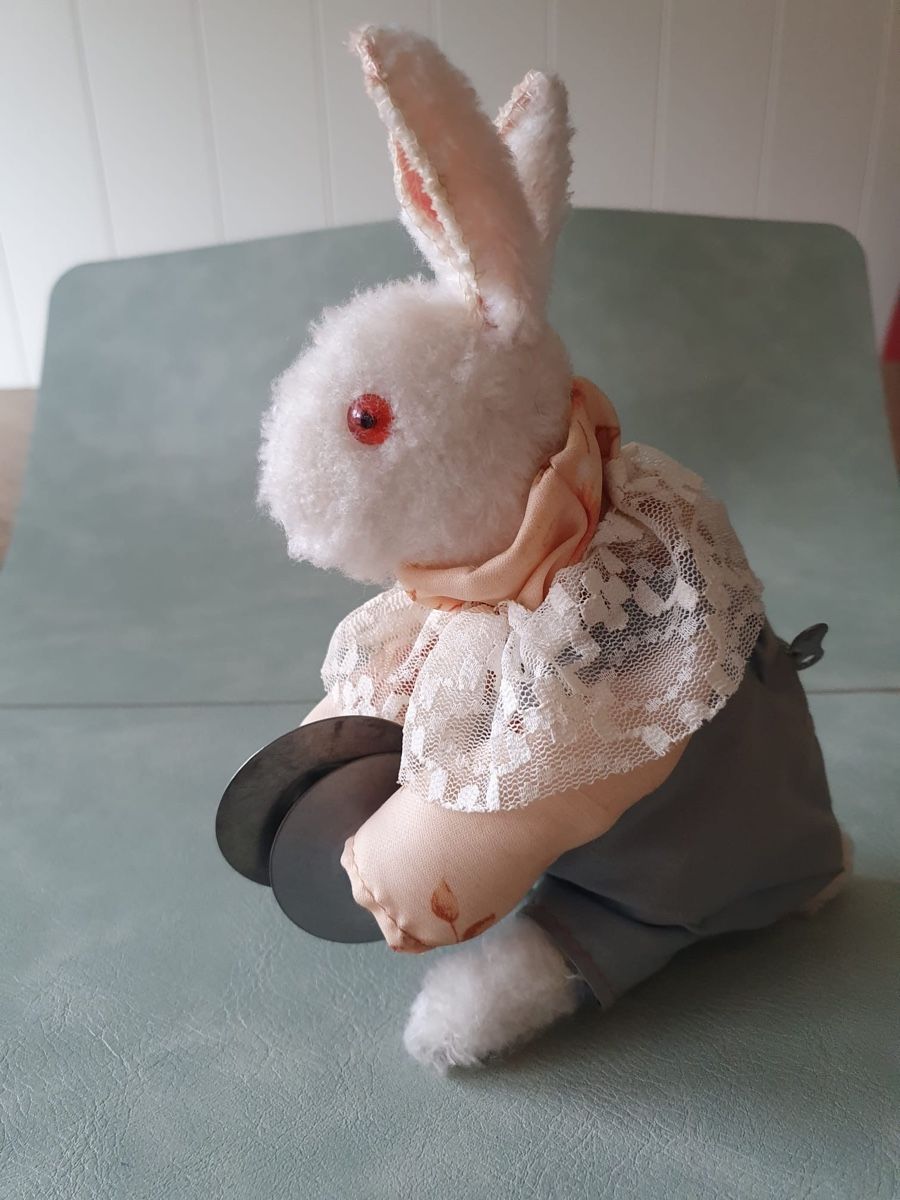 Sehr alter Hase, hüpft und macht Musik (Gebraucht) in Bülach für CHF 55 ...