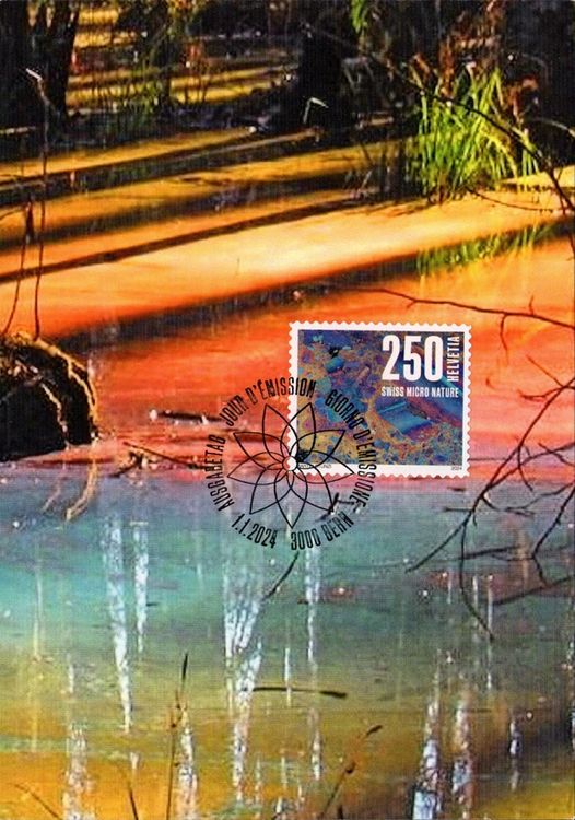 Maximumkarte Naturmuster - Pflanzenöl | Kaufen auf Ricardo