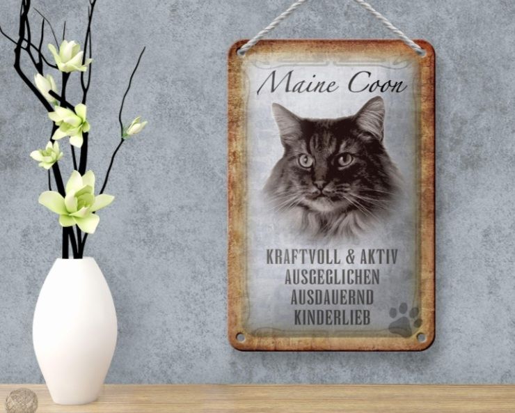🐾 MAINE COON Fans aufgepasst! 🐾 (Neu und originalverpackt) in St ...