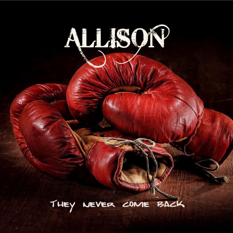 Allison - They Never Come Back (Top-Zustand) (Gebraucht) in Brunnen für ...