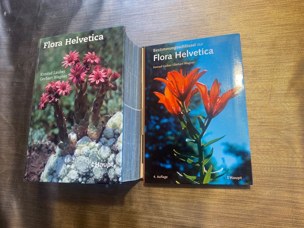 Flora Helvetica: 3000 Blüten- und Farnpflanzen der Schweiz, (Gebraucht ...