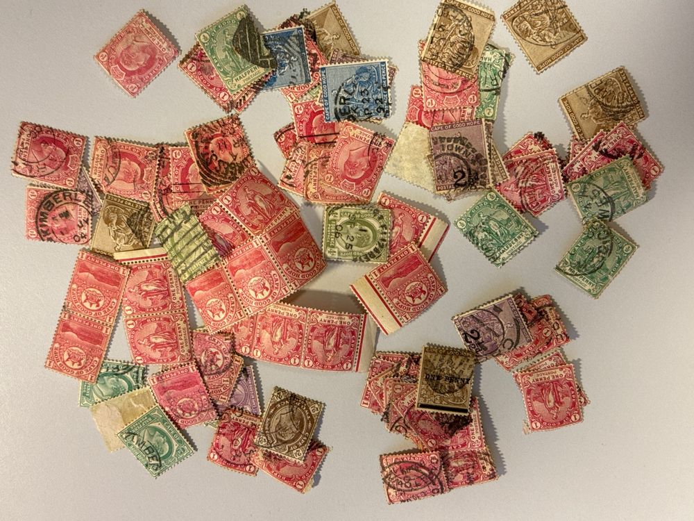 Cape of Good Hope - Lot (Gebraucht) in Küssnacht am Rigi für CHF 8 ...