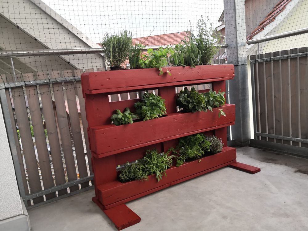 Paletten Kräuterbeet, Pflanzkasten aus Europalette (Gebraucht) in Mettmenstetten für CHF 1 – nur ...