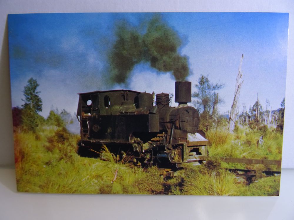 Neuseeland Dampflok "BUSH TRAM AT WORK"Dec.1960 Lake Brunner (Gebraucht ...