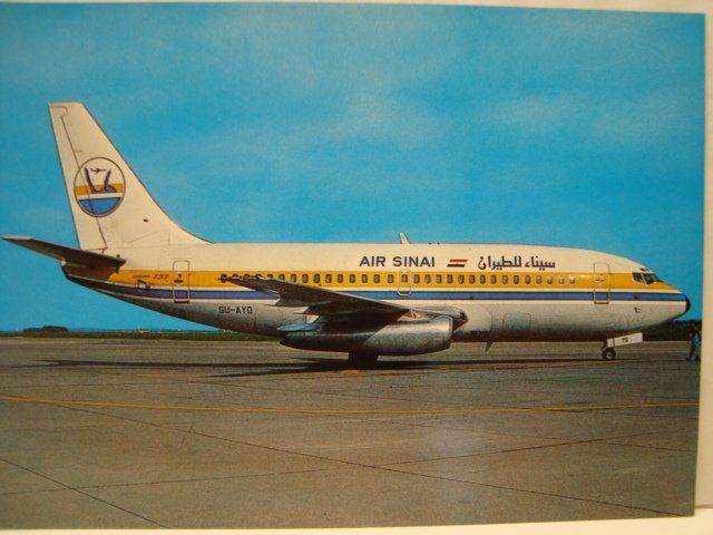 Air Sinai Boeing 737-266 SU-AYO (Neu und originalverpackt) in Thun für ...