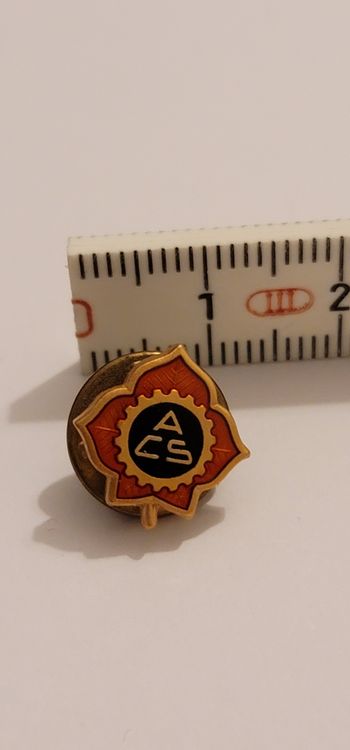 ACS Pin | Kaufen auf Ricardo