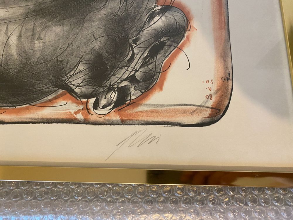 ***Wunderschöne Hans Erni Litho*** (Gebraucht) in Trimmis für CHF 250 – nur Abholung auf Ricardo ...