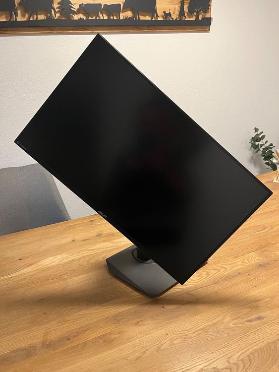 ASUS ROG Swift PG279 (2560x1440 Pixel WQHD)27“ 165Hz Monitor | Kaufen ...