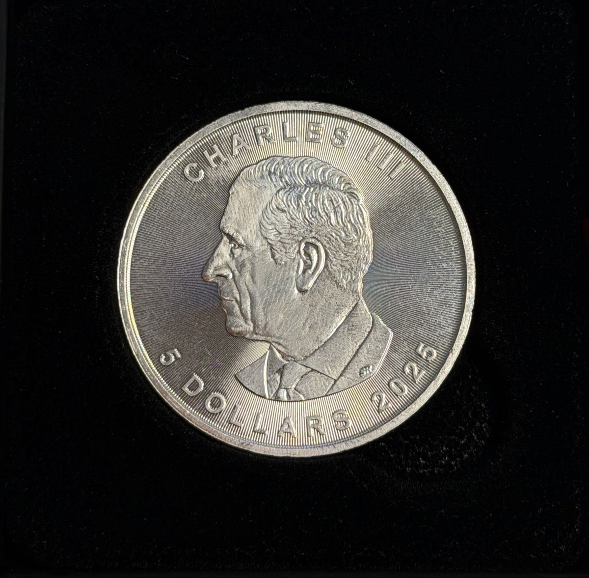 Silbermünze Maple Leaf 2025/ 1 Unze / Kanada (Neu und originalverpackt ...