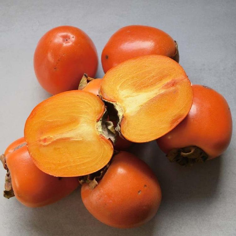 Kaki, Persimmon - Diospyros kaki - 10 Samen (Neu und originalverpackt ...